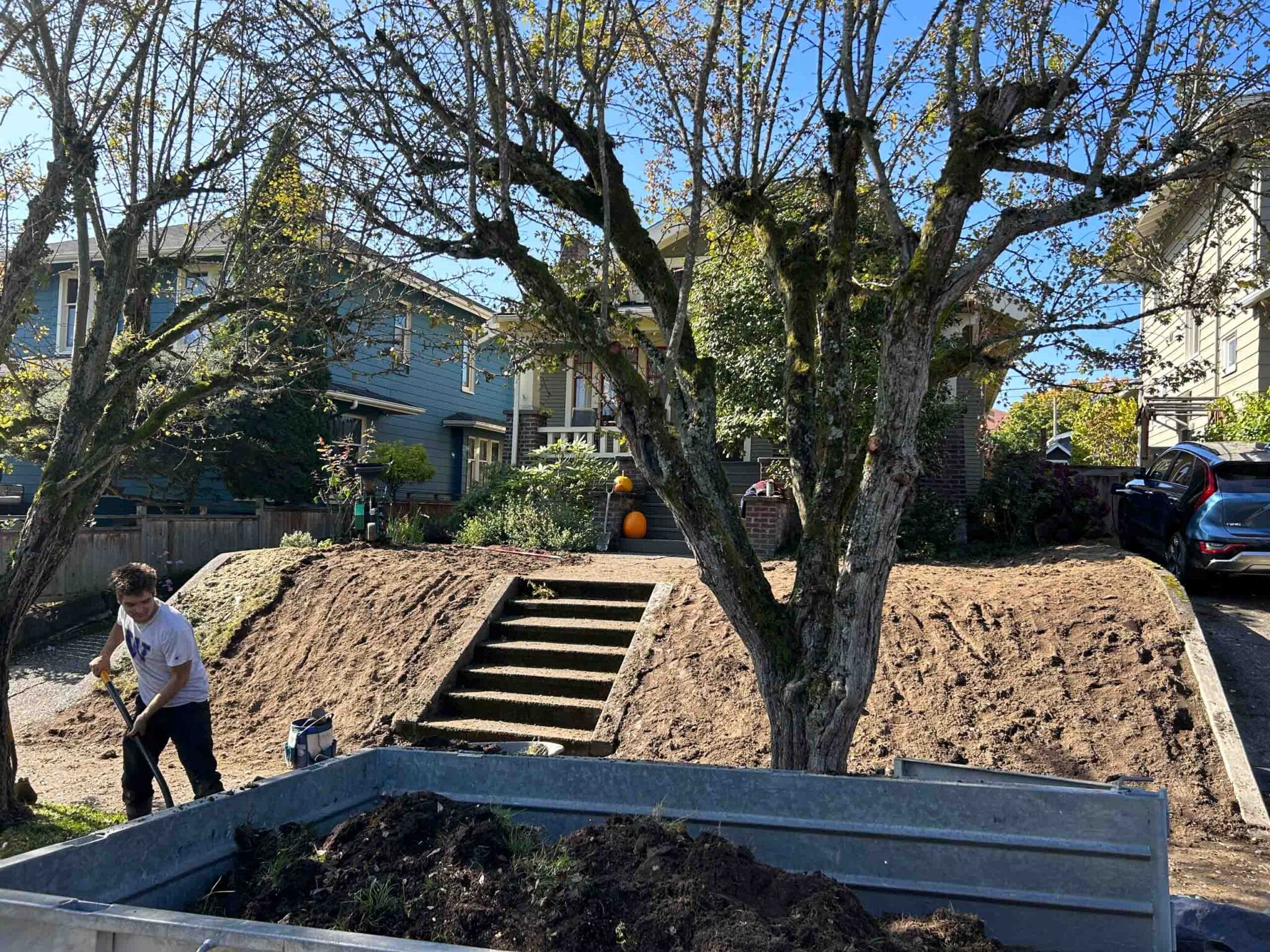 Seattle Landscape Design Projects - Trillium Landscape Design