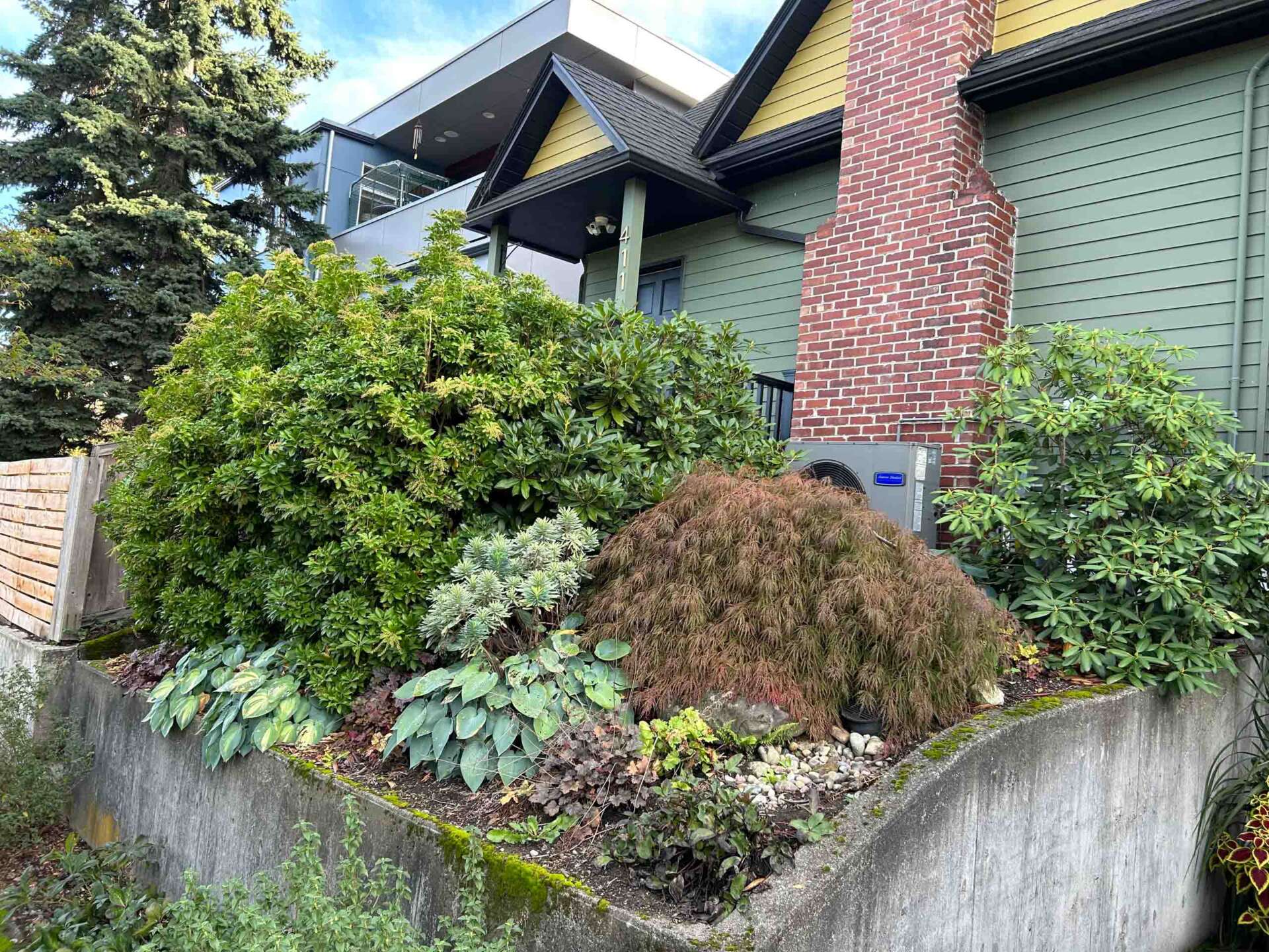 Seattle Landscape Design Projects - Trillium Landscape Design
