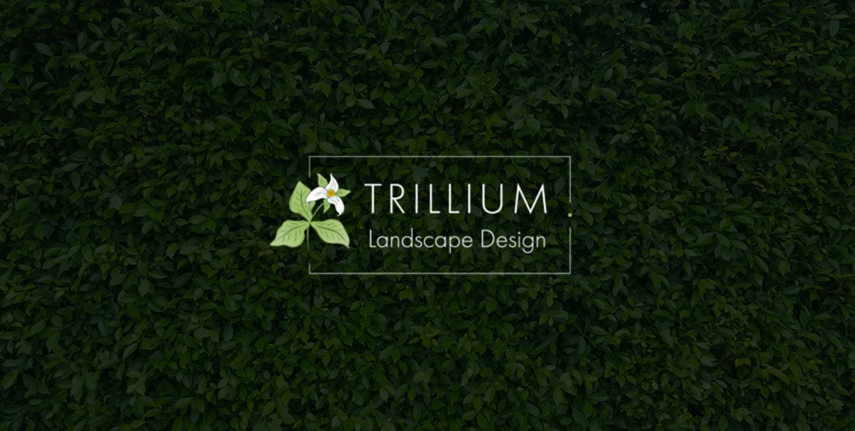 Seattle Landscape Services - Trillium Landscape Design